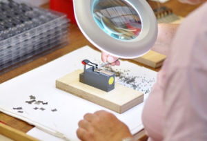 Unternehmen | Optronic